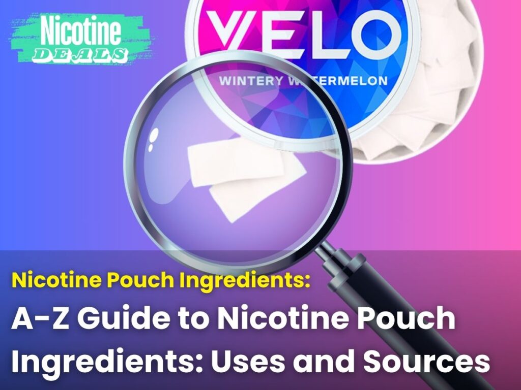 Nicotine Pouch Ingredients | All You Need To Know!