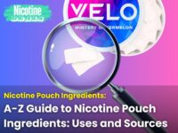 Nicotine Pouch Ingredients | All You Need To Know!